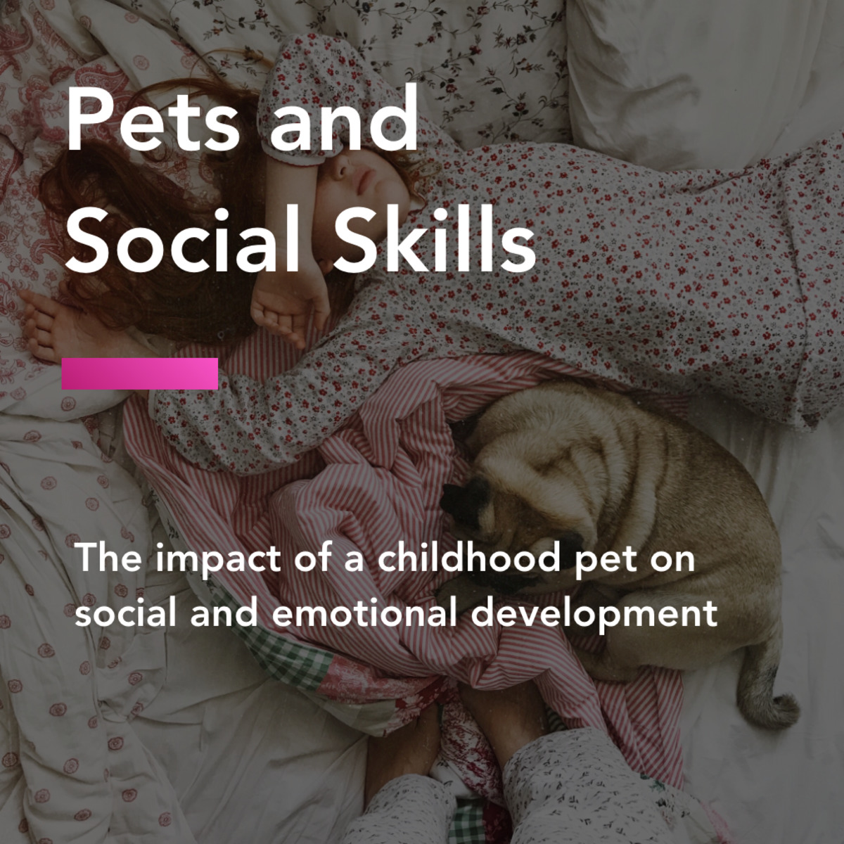 3 Charts | The positive effects of a childhood pet on social skill ...