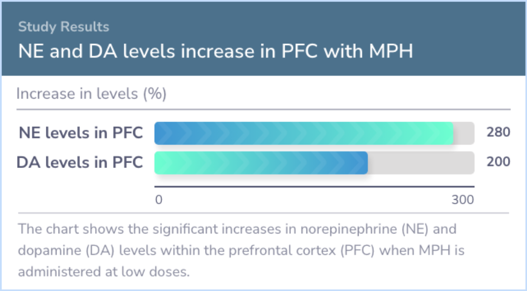 Study: How Methylphenidate (Ritalin) Boosts Prefrontal Cortex Activity ...