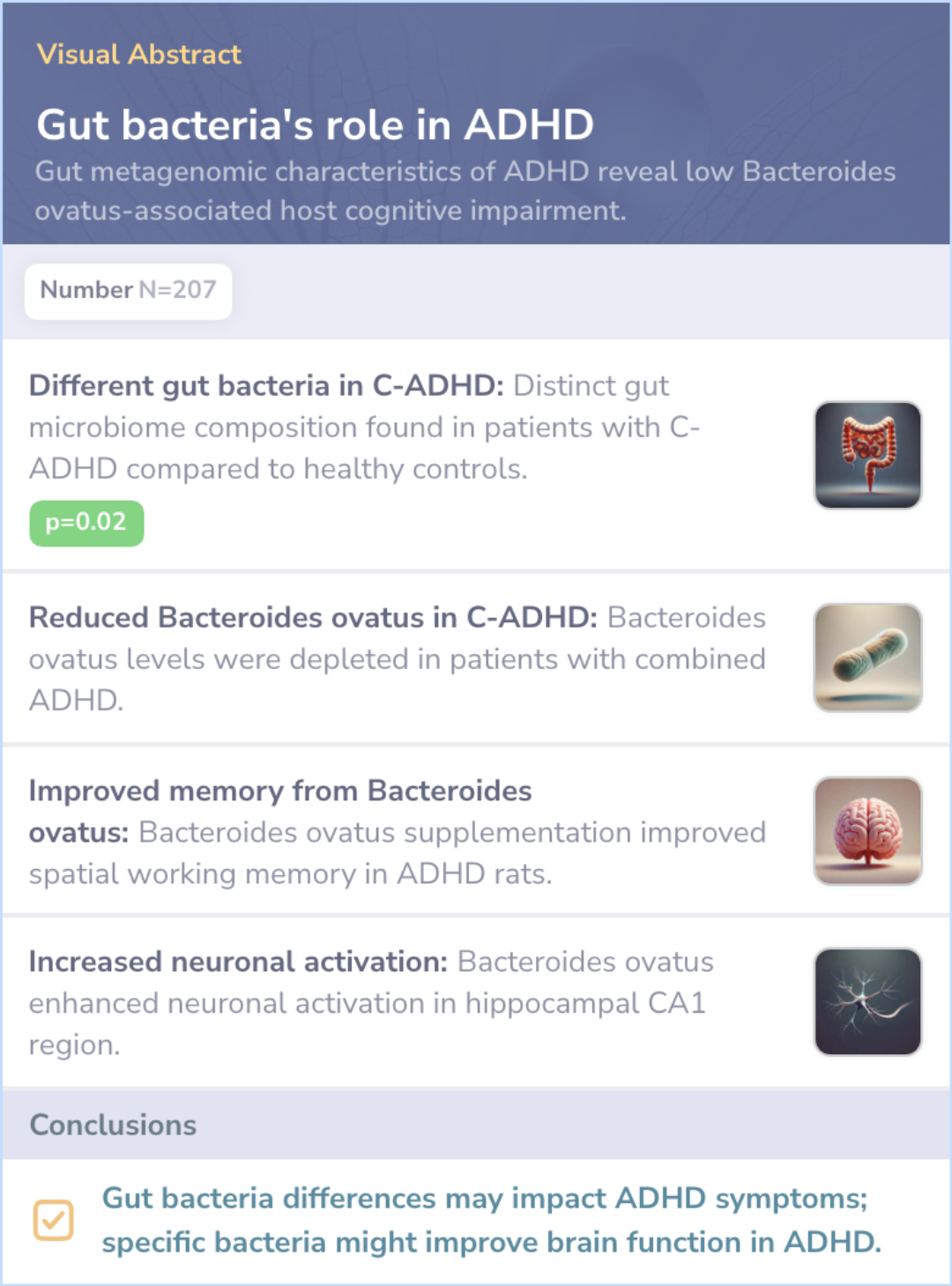 Study: Bacteroides ovatus Ameliorates Memory Deficits in ADHD Rats by ...